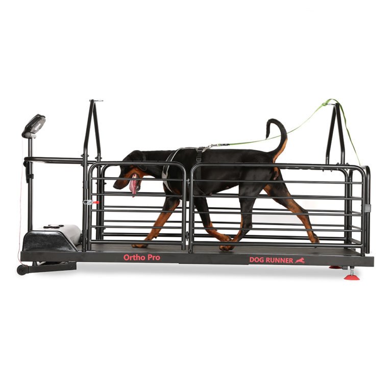 Dog Runner - The ideal treadmill for dogs!