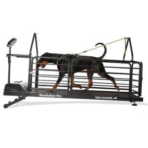 Dog Runner - The ideal treadmill for dogs!